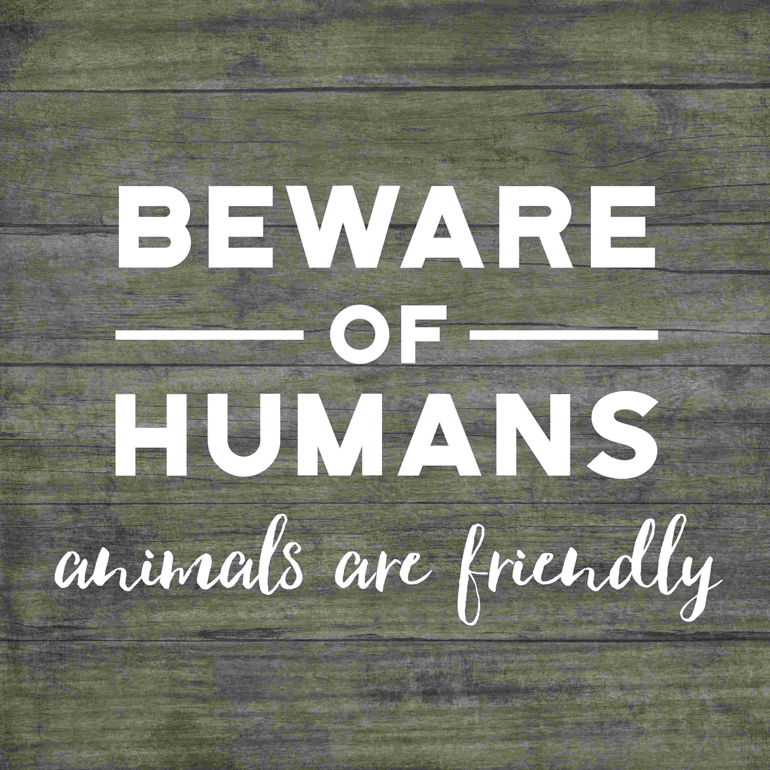 Trinx Beware Humans Animals Friendly | Wayfair